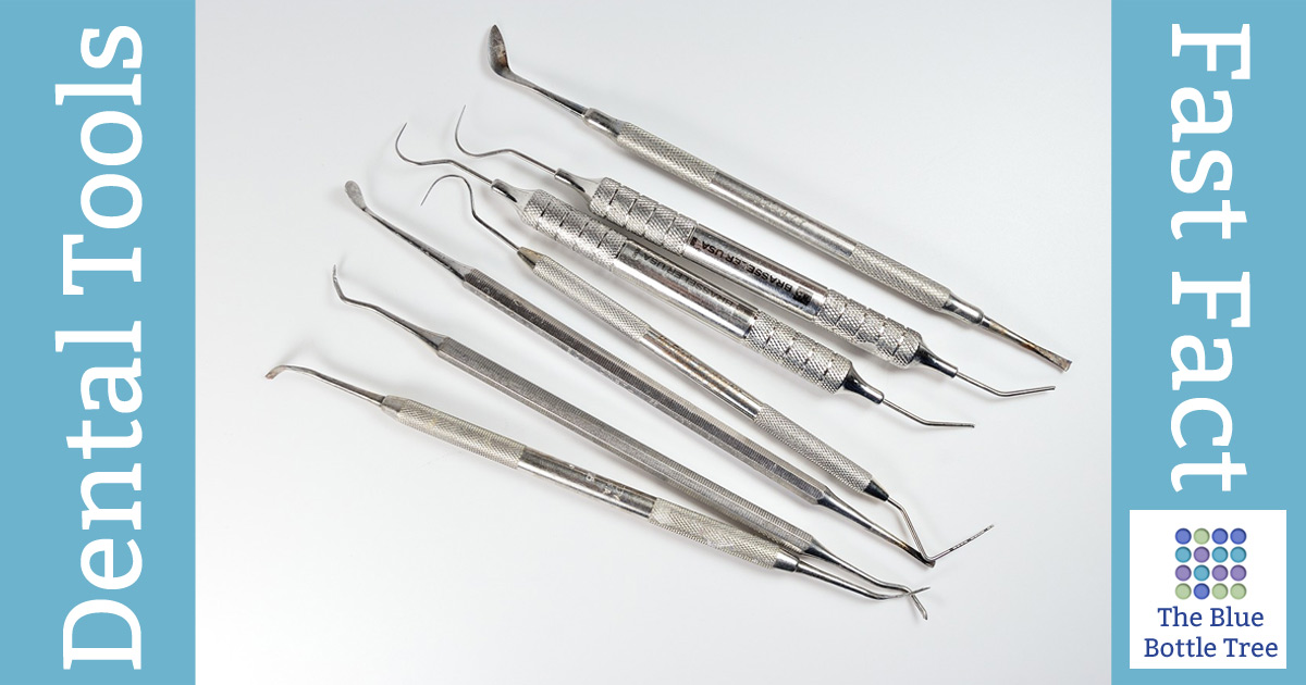 Free Dental Tools - The Blue Bottle Tree